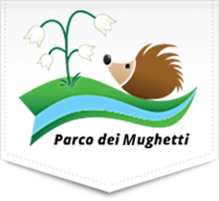 Ricerca di fotografie storiche del parco - Comune di Origgio
